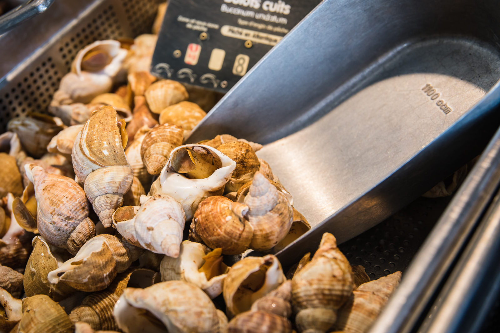 Recette de Bulots à l'aigre doux et sa salade printanière | Maison Geslain