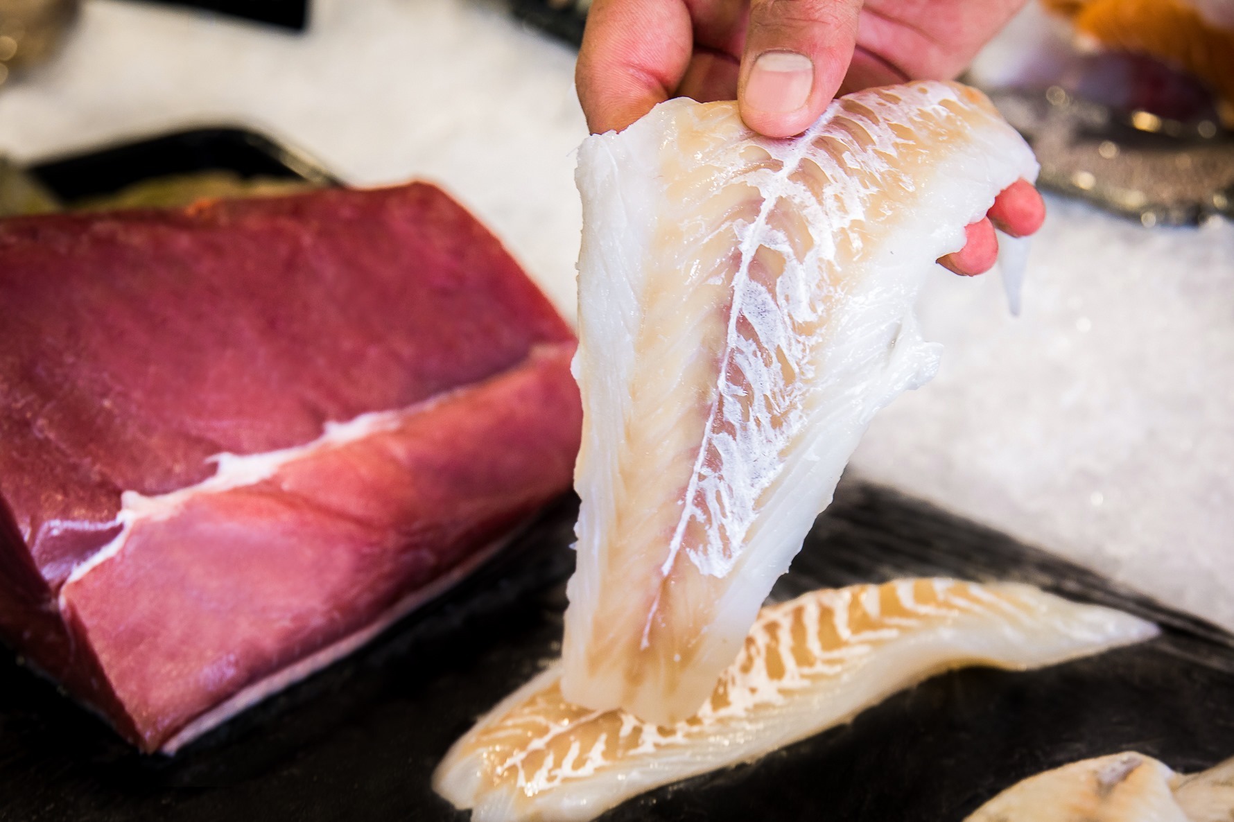 On vous dit tout sur... Les poissons blancs ! | Maison Geslain