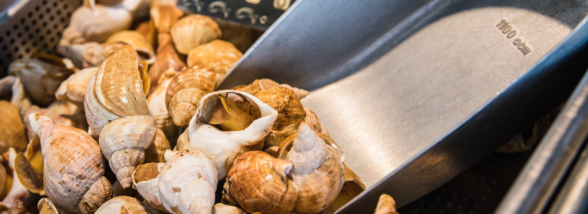 Comment réussir la cuisson des bulots ? | Maison Geslain