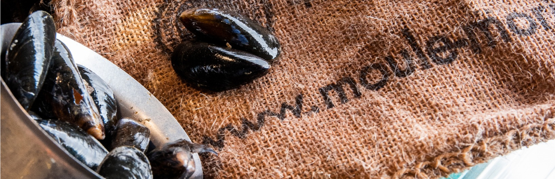 Quelle est la saison des moules ? | Maison Geslain