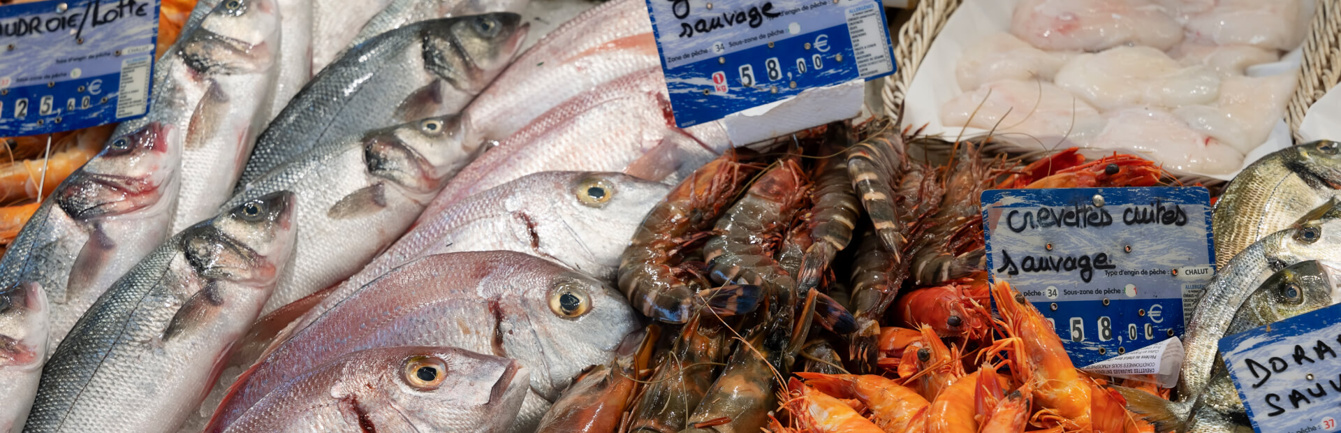 Calendrier des poissons de saison | Maison Geslain