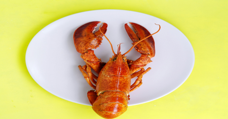 Quelles différences entre un homard, une langouste et une langoustine