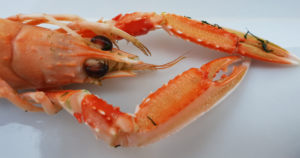 Quelles différences entre un homard, une langouste et une langoustine